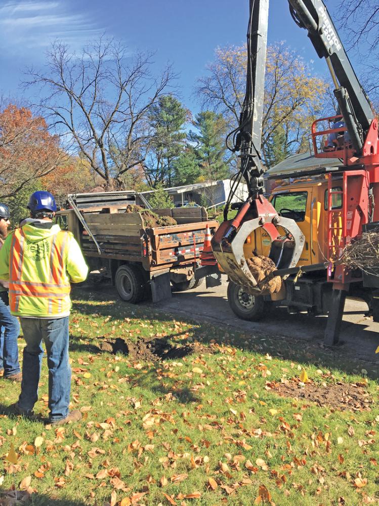 The Forestry Crew - Ann Arbor Observer