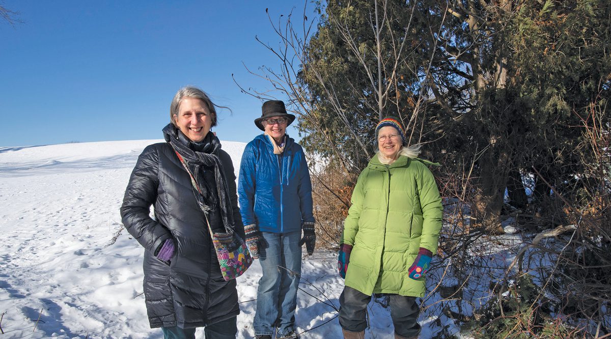 Planting a Pocket Forest - Ann Arbor Observer