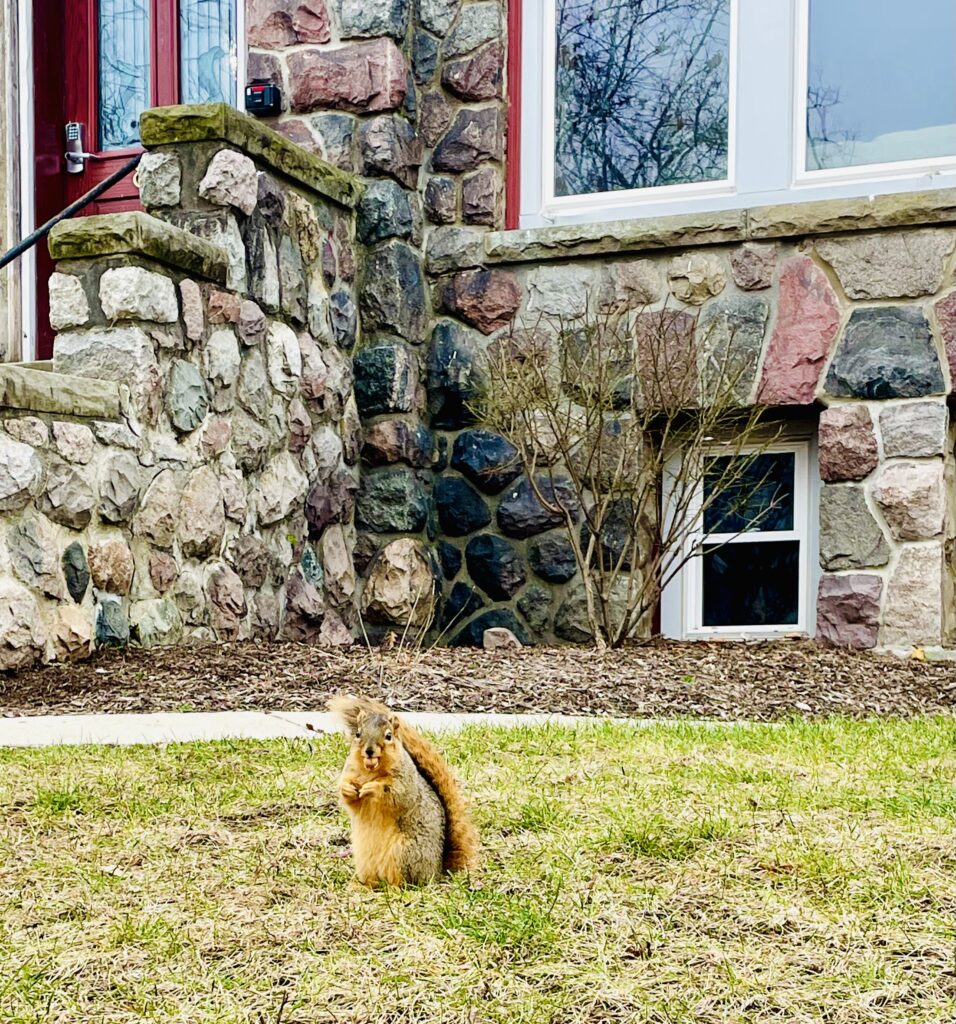 An Ode to an Ann Arbor Home - Ann Arbor Observer