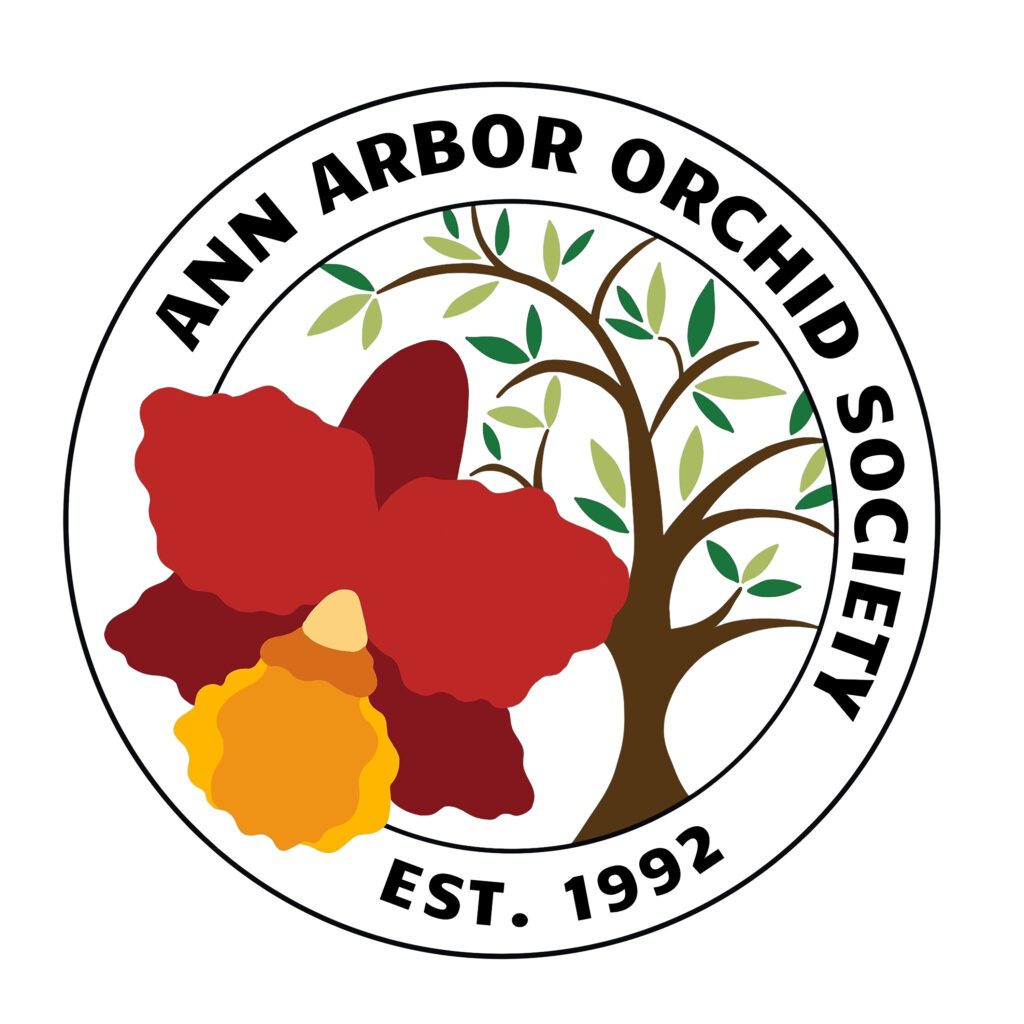 Groups & Clubs - Ann Arbor Observer