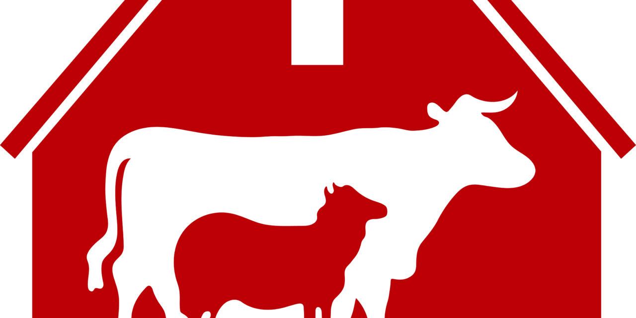 Barn Sanctuary - Ann Arbor Observer