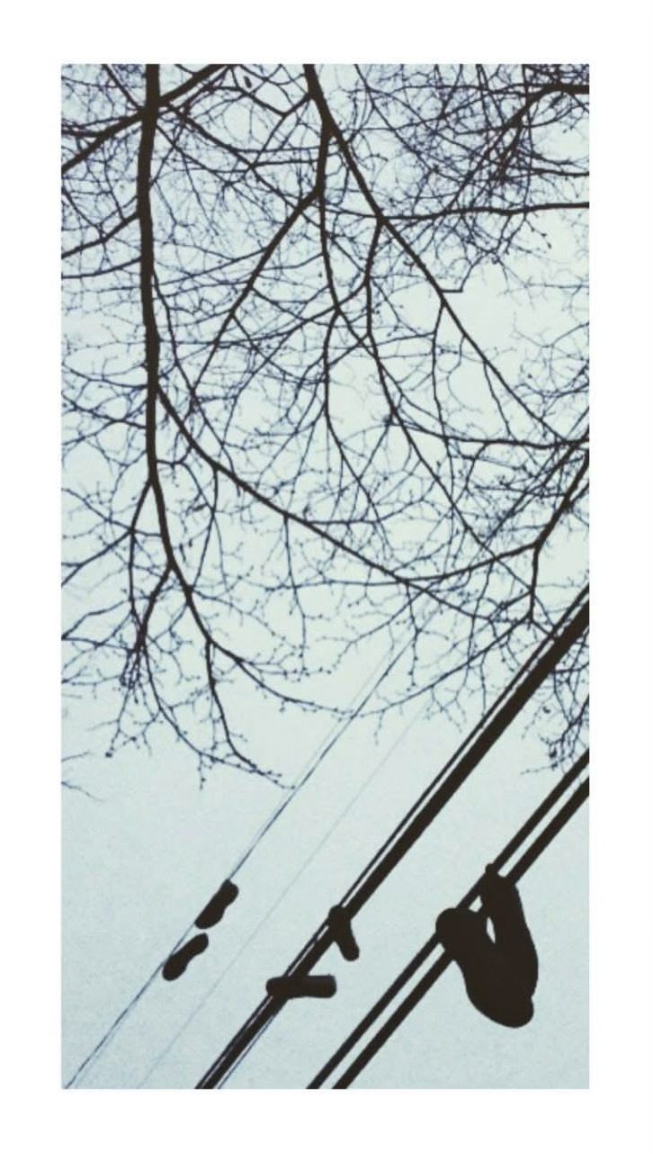 Red converse hanging from the sky - Ann Arbor Observer