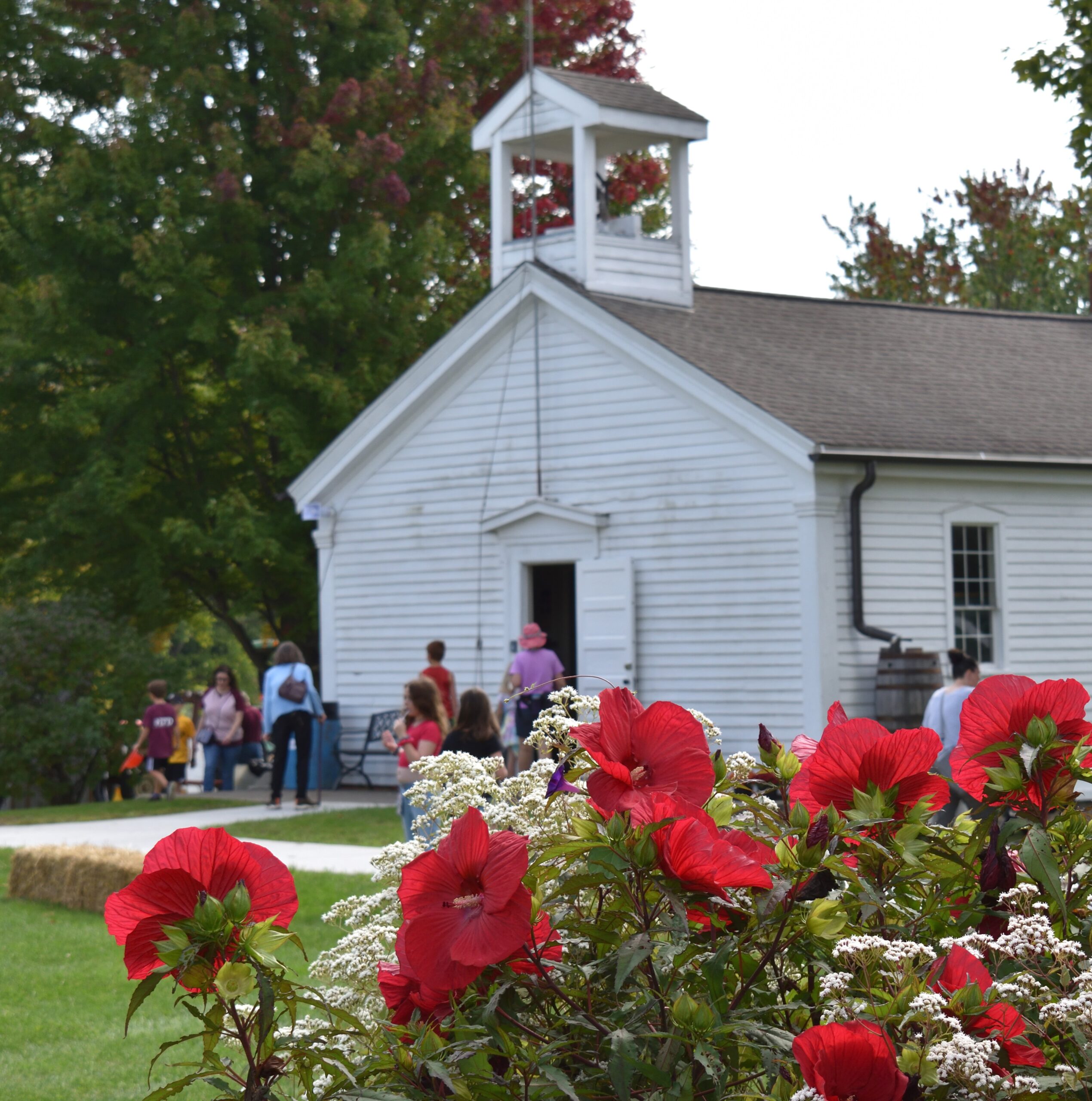 Webster Fall Festival - Ann Arbor Observer
